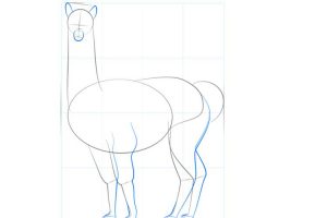 How to draw an Alpaca: Head and Cute