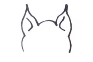 How to Draw a Bat: Cartoon, Realistic and Cute