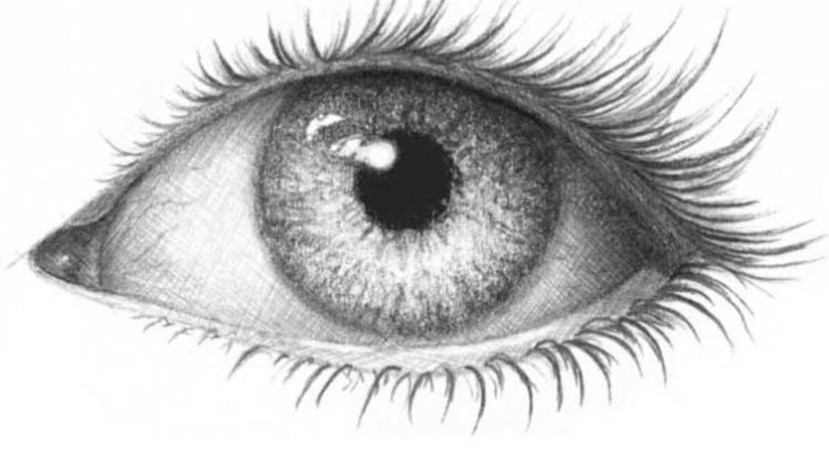 How To Draw Eyelashes Realistic Pencil Drawing Techniques