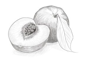 How to draw a peach: Easy, Сartoon, Сute, Step by Step