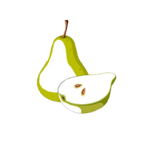 How to draw a Pear: Realistic, Prickly, Cute, Step by Step