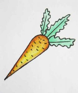 Carrot Drawing: Cute, Step by Step, Cartoon, Line and for Kids