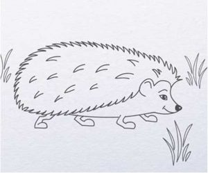 Hedgehog drawing: Easy, Cute and Simple