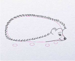 Hedgehog drawing: Easy, Cute and Simple