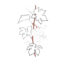 How to draw Vines: Easy, Simple and Step by Step