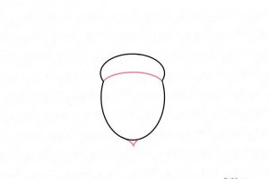 Acorn Drawing: Step By Step, Easy, Simple, Color and Line