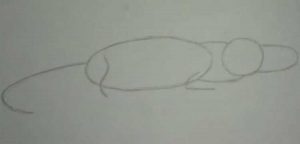 Alligator Drawing: Easy, Simple, Line and Step by Step