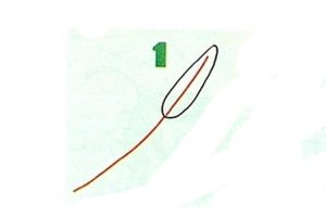 Wheat Drawing: Easy, Simple, from Kids and Step by Step