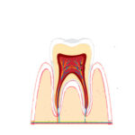 Tooth Drawing: Easy, Fairy, Simple and Step by Step