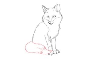 Fox Drawing: Easy, Cute and Pencil