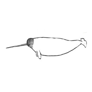 Narwhal Drawing: Easy, Cute, Realistic