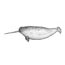 Narwhal Drawing: Easy, Cute, Realistic