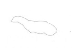 Otters Drawing: Realistic, Easy and Cute