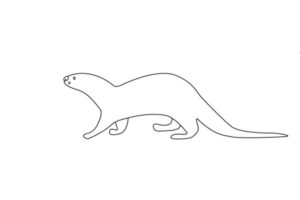 Otters Drawing: Realistic, Easy and Cute