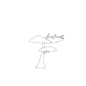 Sakura Tree Drawings: Easy and Simple