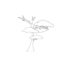 Sakura Tree Drawings: Easy and Simple