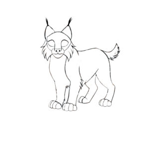 How to Draw a Lynx: Easy and Simple