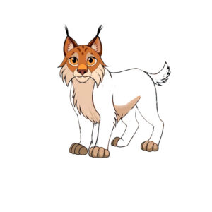 How to Draw a Lynx: Easy and Simple