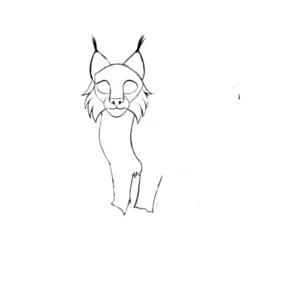 How to Draw a Lynx: Easy and Simple