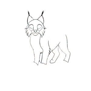 How to Draw a Lynx: Easy and Simple