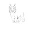 How to Draw a Lynx: Easy and Simple