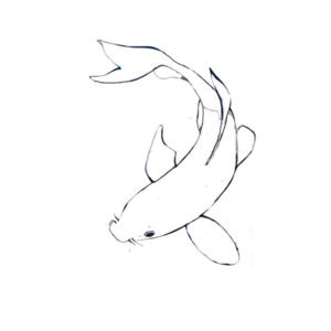 Koi Fish Drawing: With Pencil, Realistic and Easy