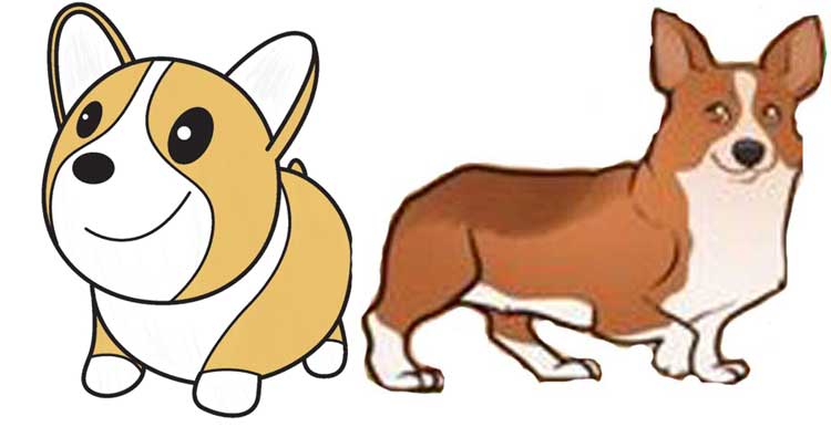 Corgi Drawing: Easy and Step By Step