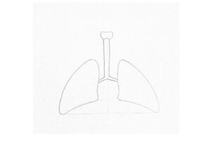 Lungs Drawing: Easy and Simple