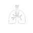 Lungs Drawing: Easy and Simple