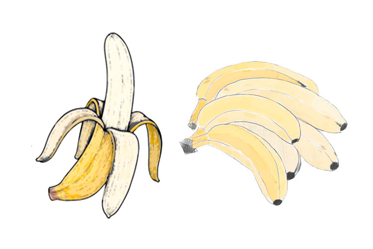 Banana Drawing: Cute, Easy and for kids